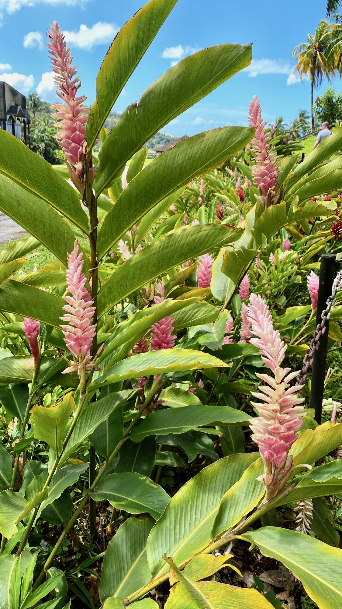 Pour le reste, je vous laisse avec les photos, c’est pas vraiment ...