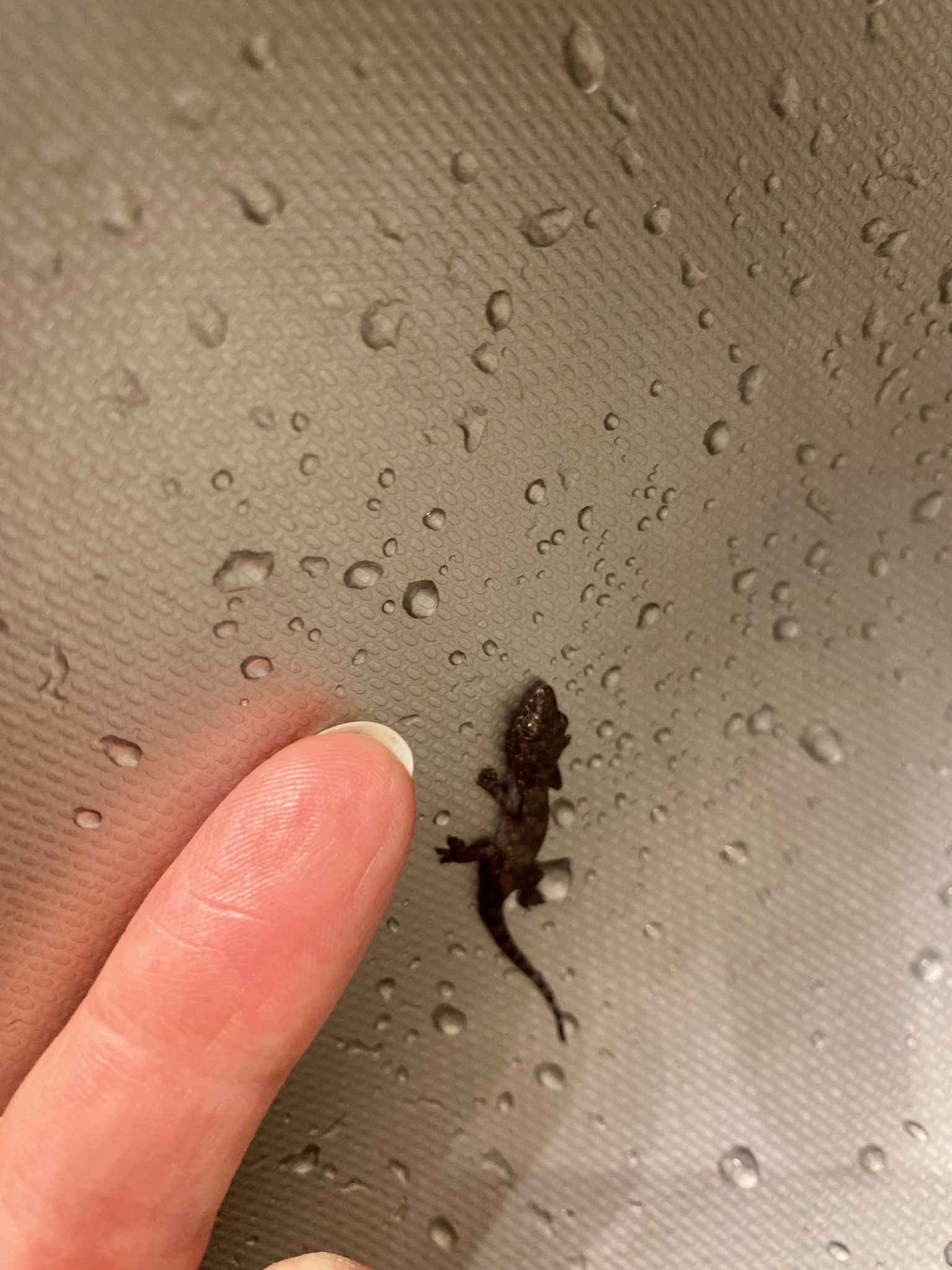 J’espère que ça vous permettra de vous évader un peu!