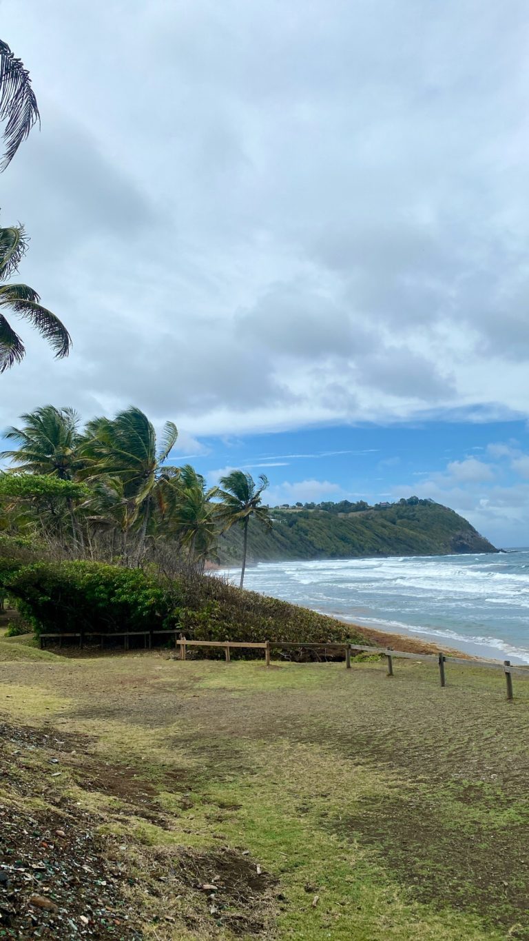 J’espère que ça vous permettra de vous évader un peu!