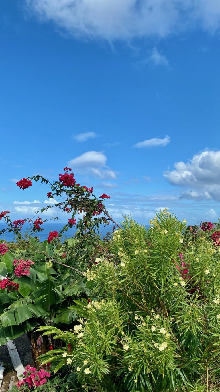 Allez, c’est parti pour la Martinique 2022!